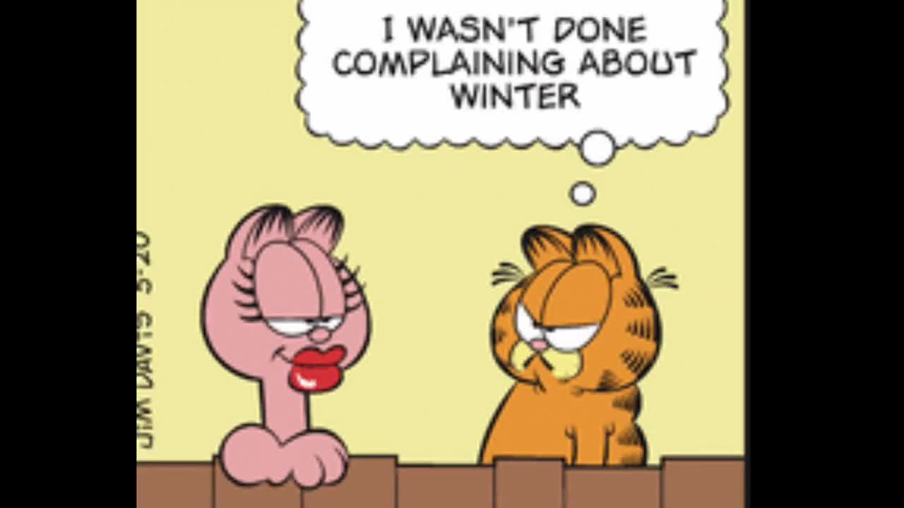 2025_03_25 Garfield Comic Dub - VidLii